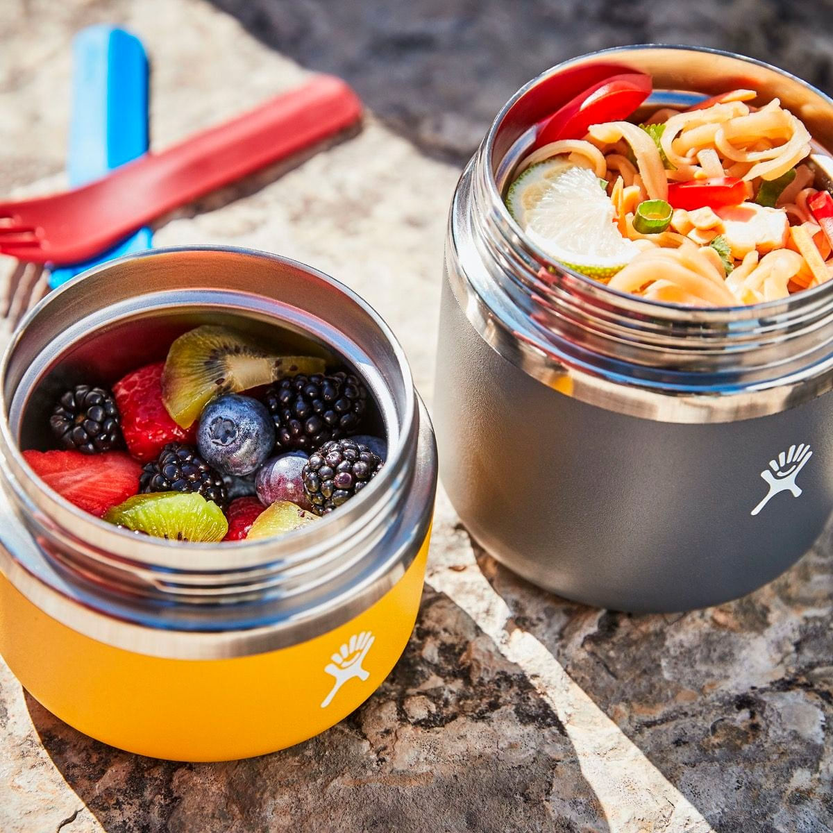 Recipiente para comida Hydro Flask 20 Oz. (591ml) BlackBerry - My Shuzz ...